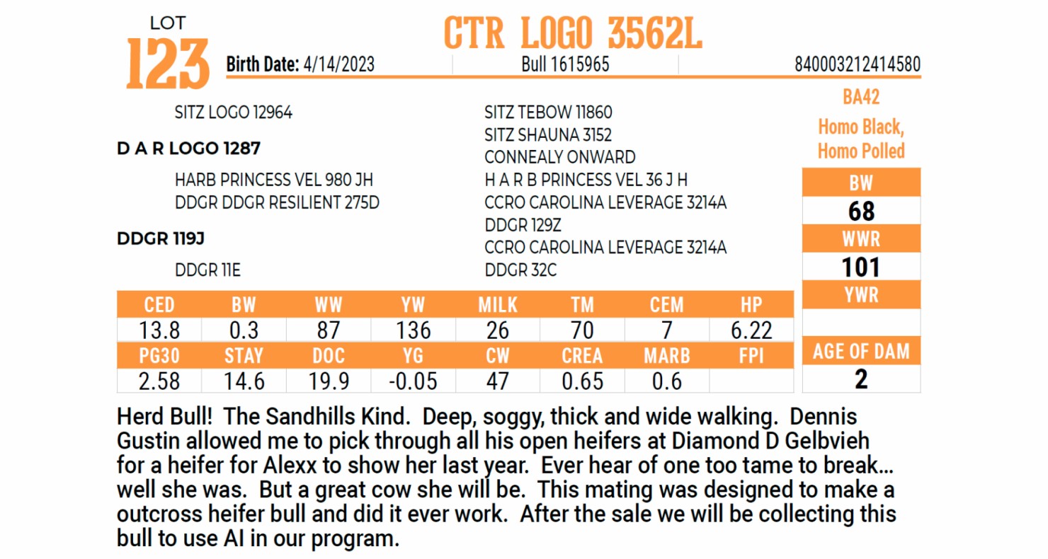 Lot 123: Cedar Top Ranch & Johnson Gelbvieh - 47th Annual Maternal ...