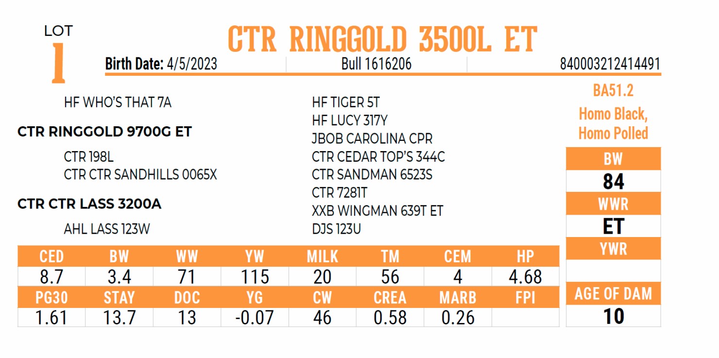 Lot 1: Cedar Top Ranch & Johnson Gelbvieh - 47th Annual Maternal Empire ...