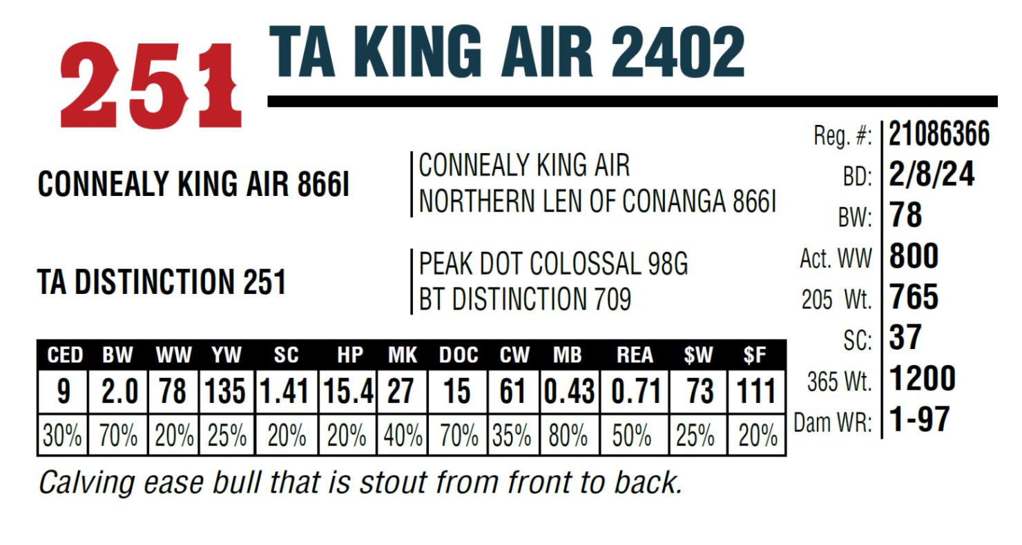 Lot 251: Thompson Angus - Annual Production Sale | DVAuction