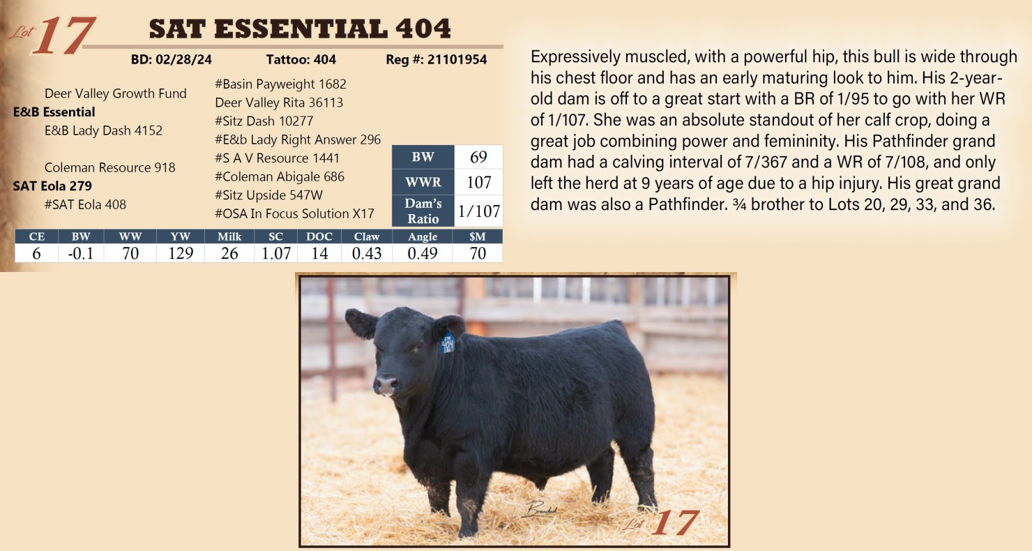 Lot 17: Talkington Angus Ranch - Annual Production Sale | DVAuction