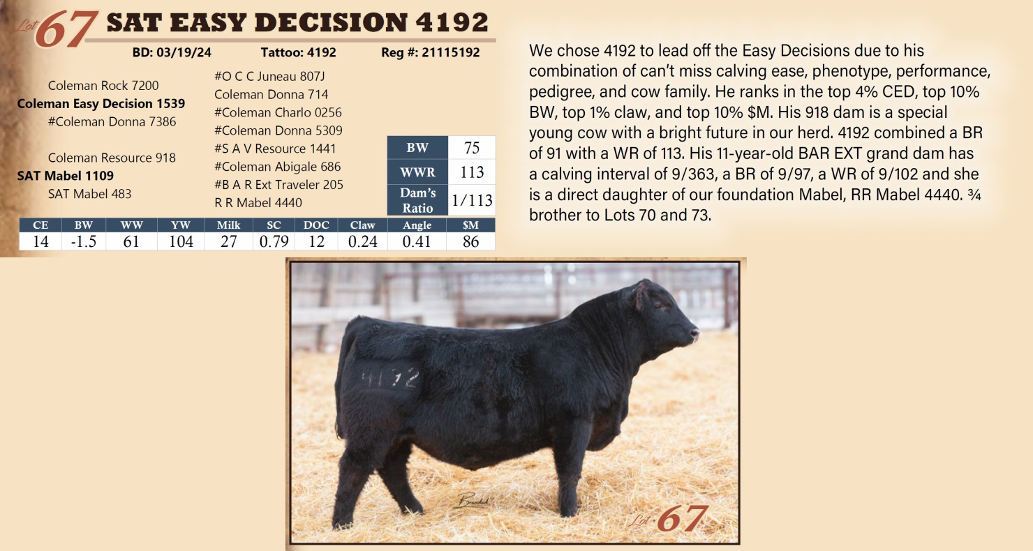 Lot 67: Talkington Angus Ranch - Annual Production Sale | DVAuction