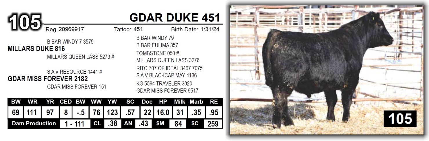 Lot 105: Gartner-Denowh Angus Ranch - Annual Bull Sale | DVAuction