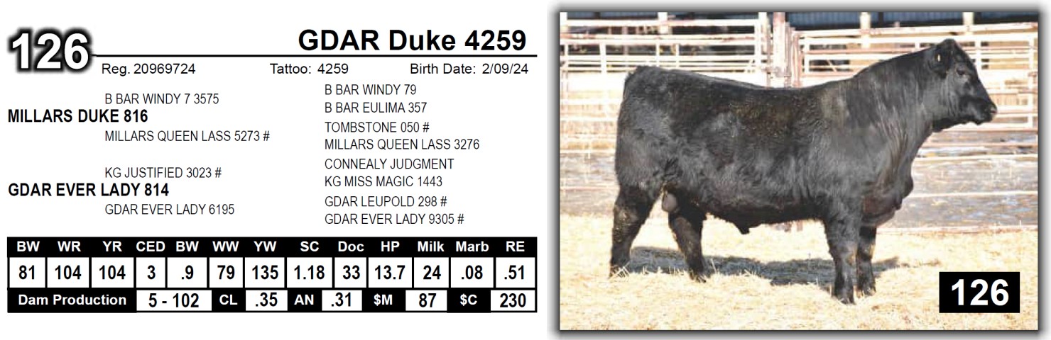 Lot 126: Gartner-Denowh Angus Ranch - Annual Bull Sale | DVAuction