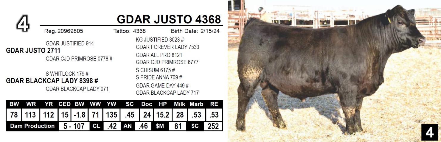 Lot 4: Gartner-Denowh Angus Ranch - Annual Bull Sale | DVAuction