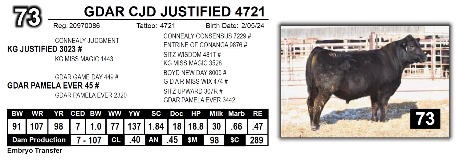 Lot 73: Gartner-Denowh Angus Ranch - Annual Bull Sale | DVAuction