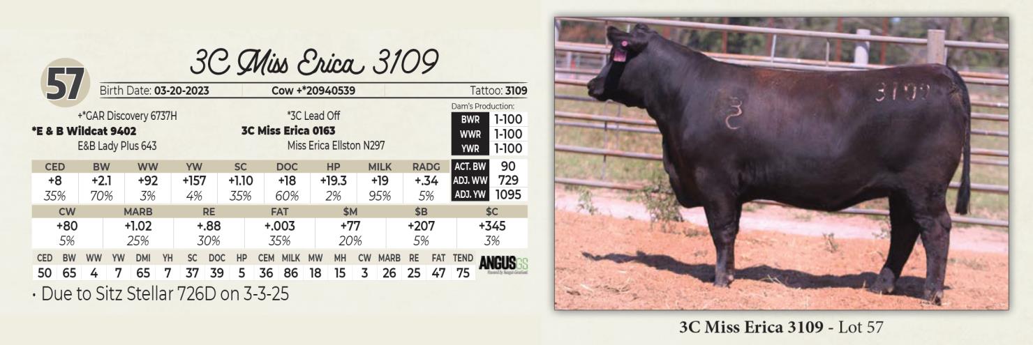 Lot 57: 3C Cattle Co - Annual Fall Sale | DVAuction