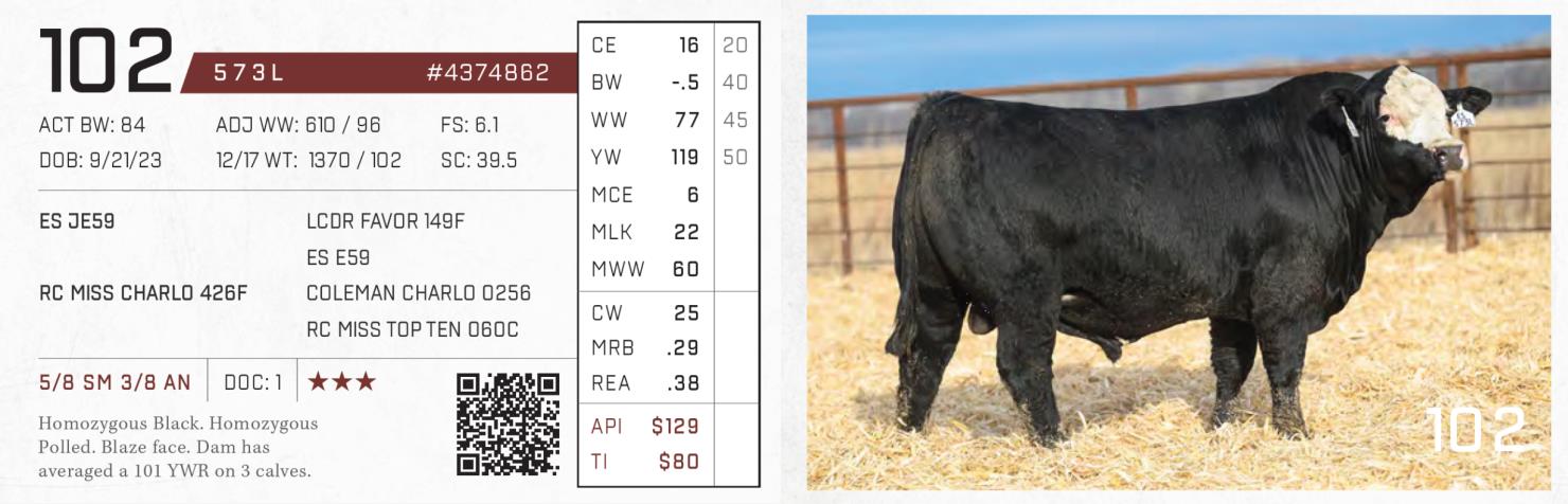 Lot 102: River Creek Farms - 35th Annual "Built to Work" SimAngus Bull Sale | DVAuction