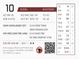 Lot 10: River Creek Farms - 35th Annual "Built to Work" SimAngus Bull Sale | DVAuction