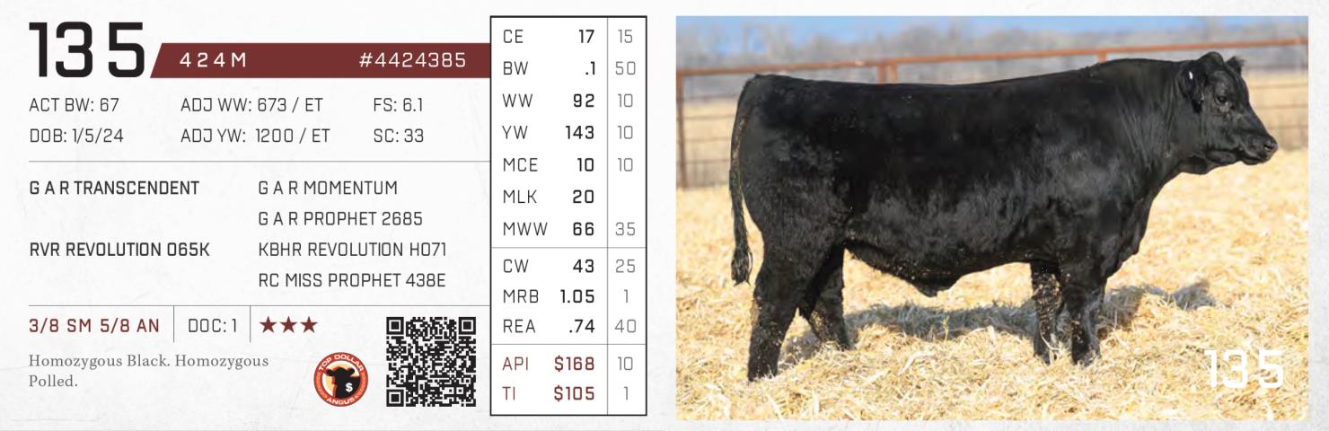 Lot 135: River Creek Farms - 35th Annual "Built to Work" SimAngus Bull Sale | DVAuction