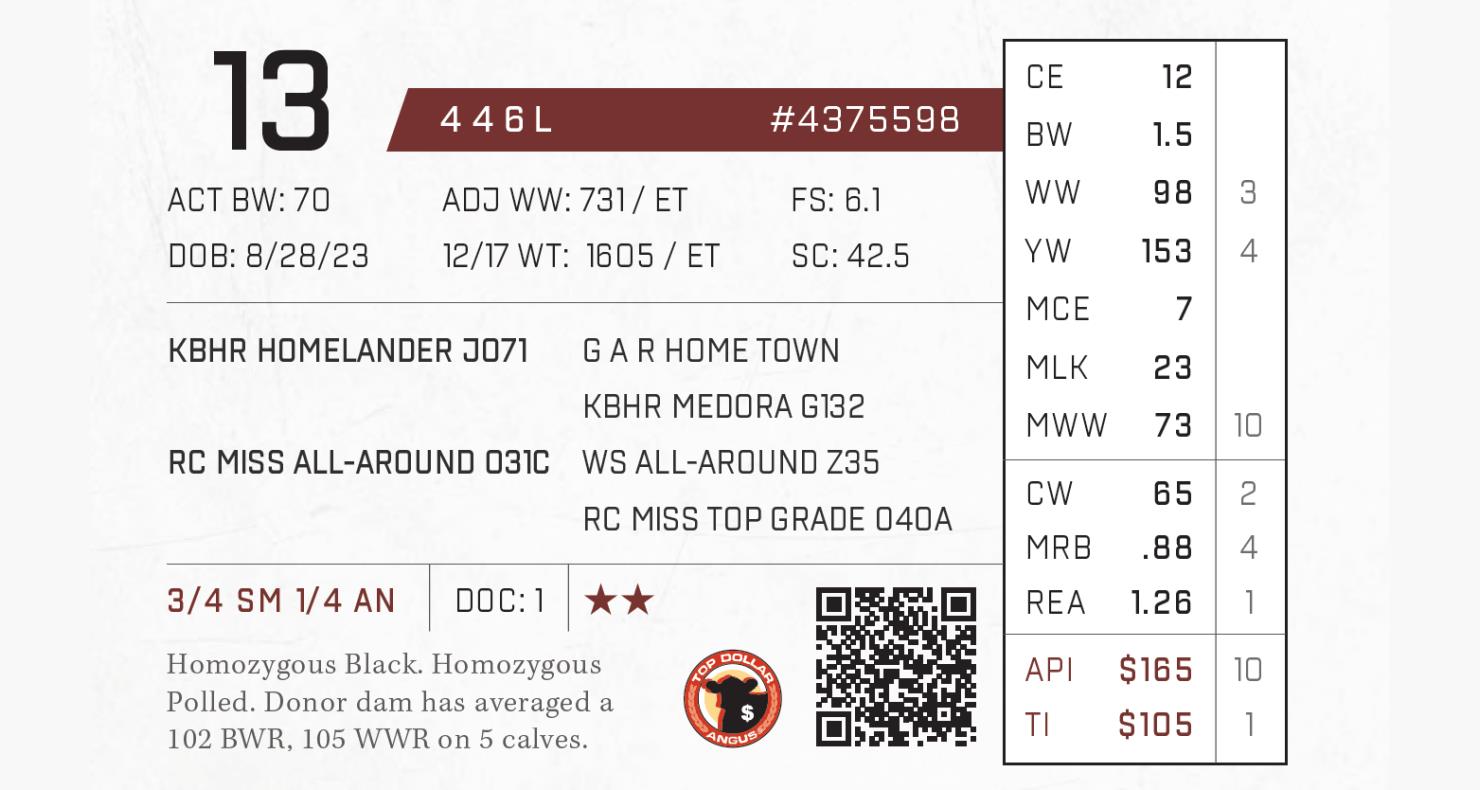 Lot 13: River Creek Farms - 35th Annual "Built to Work" SimAngus Bull Sale | DVAuction