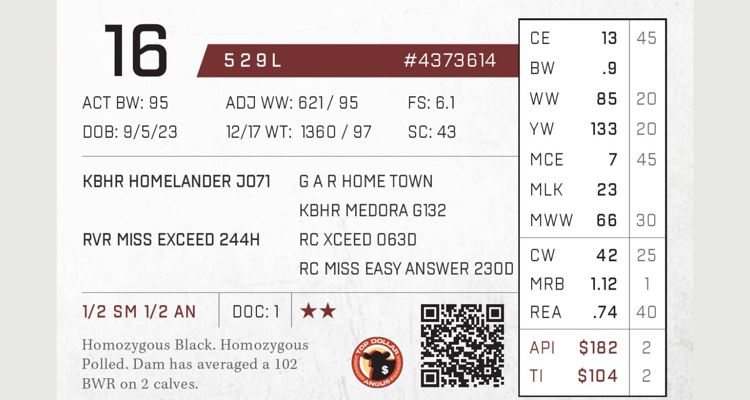 Lot 16: River Creek Farms - 35th Annual "Built to Work" SimAngus Bull Sale | DVAuction