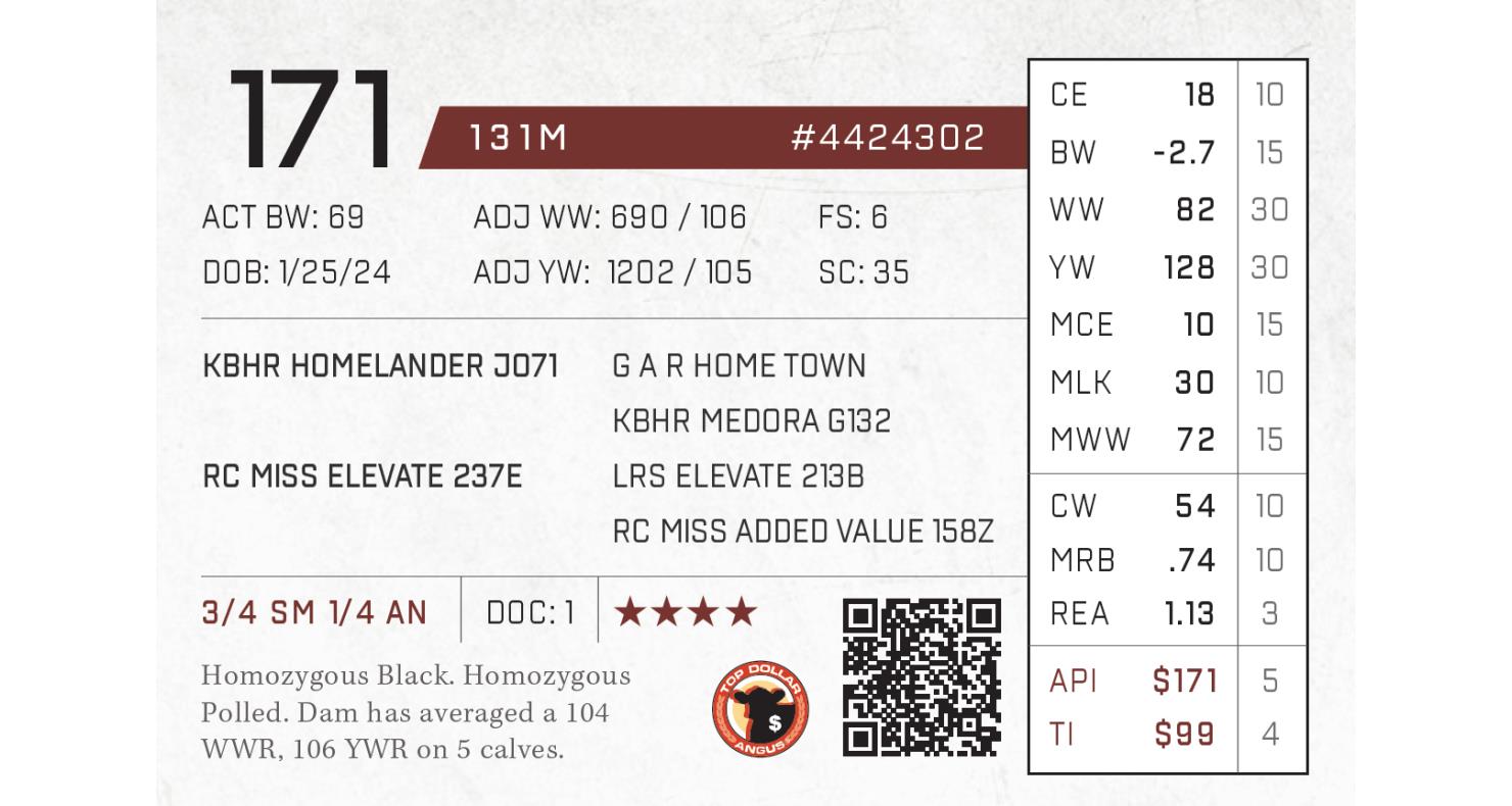 Lot 171: River Creek Farms - 35th Annual "Built to Work" SimAngus Bull Sale | DVAuction