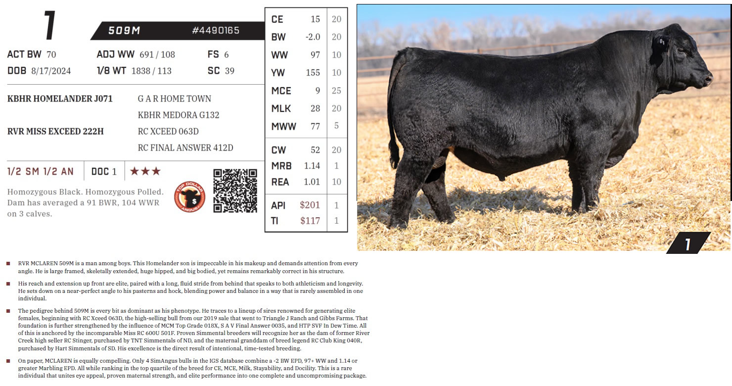 Lot 1: River Creek Farms - 36th Annual "Built to Work" Spring SimAngus ...