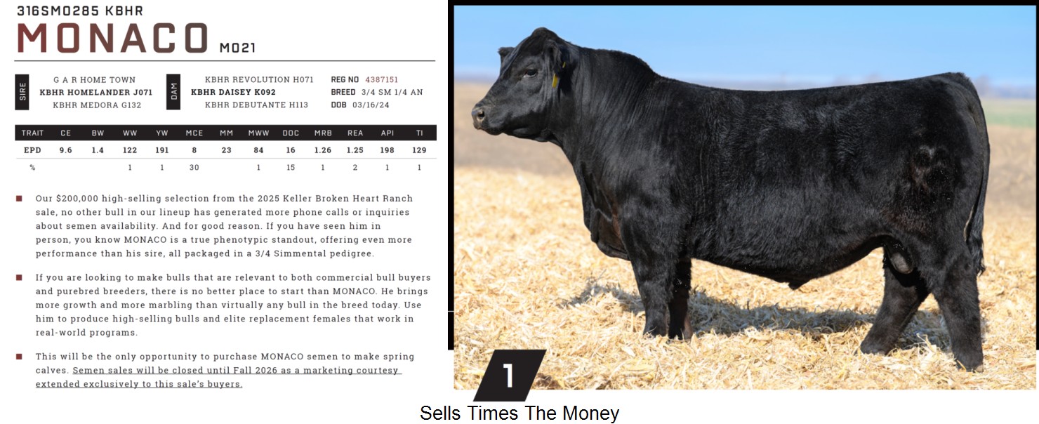Lot 1b: River Creek Farms - KBHR Monaco M021 Semen Auction | DVAuction