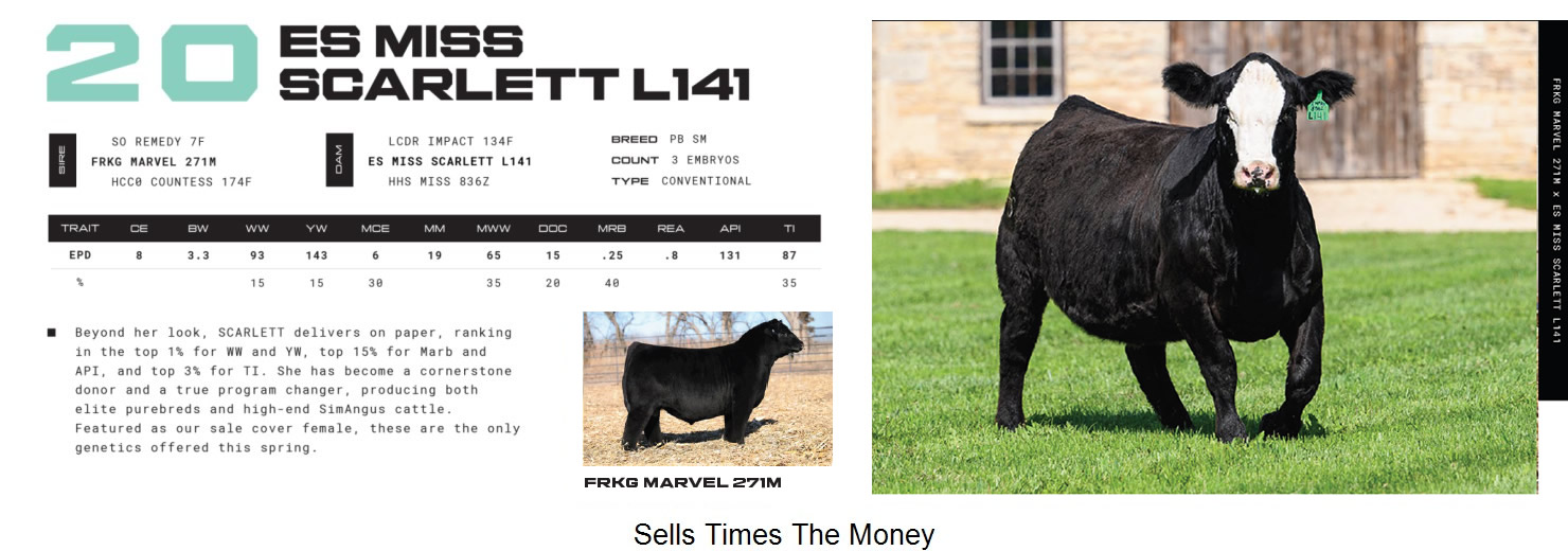 Lot 20: River Creek Farms - KBHR Monaco M021 Embryo Sale | DVAuction