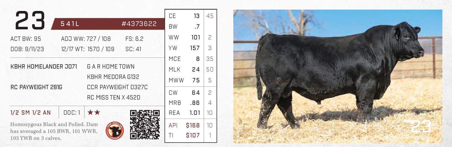 Lot 23: River Creek Farms - 35th Annual "Built to Work" SimAngus Bull Sale | DVAuction