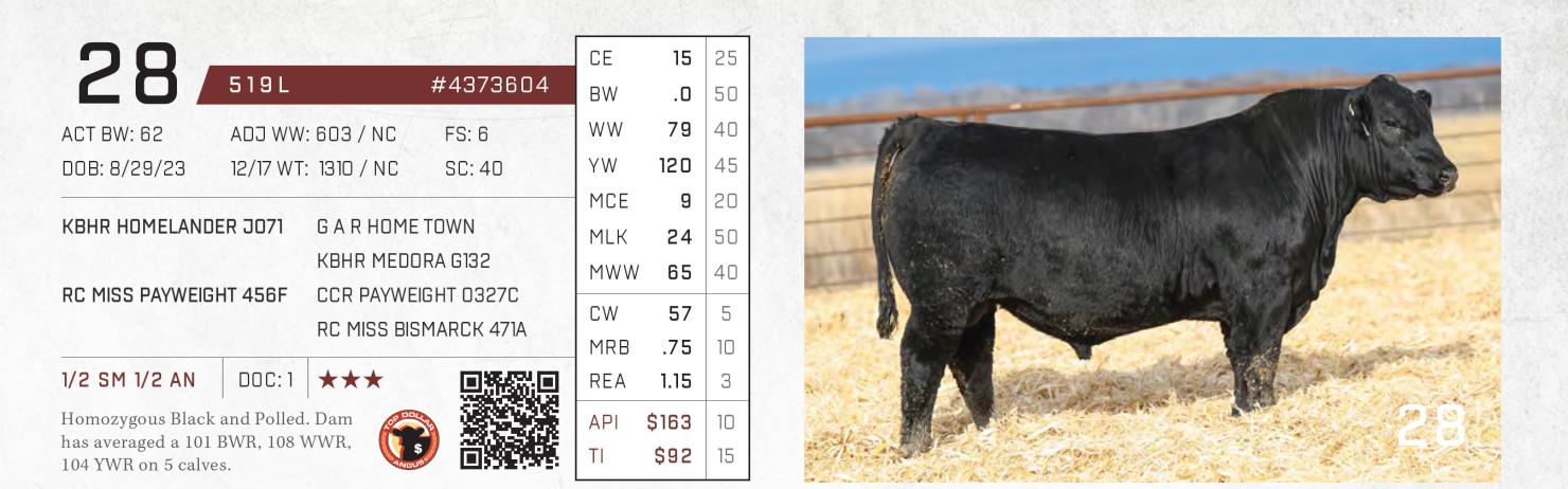 Lot 28: River Creek Farms - 35th Annual "Built to Work" SimAngus Bull Sale | DVAuction