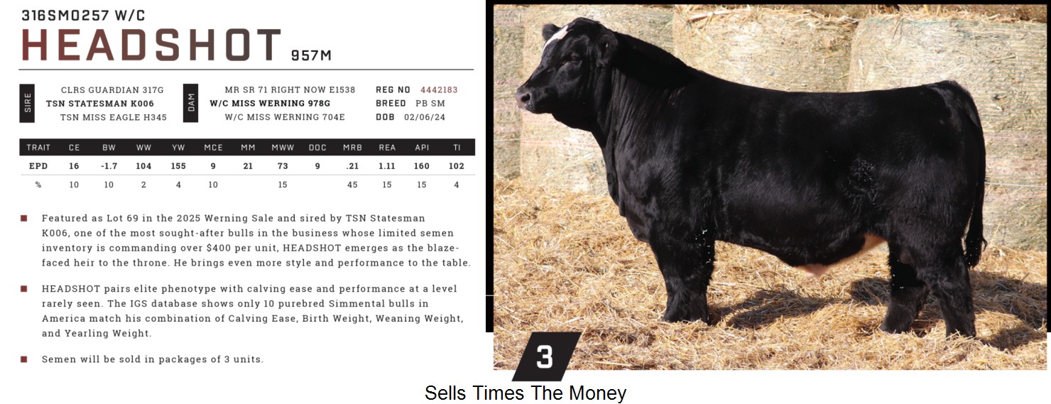 Lot 3: River Creek Farms - KBHR Monaco M021 Semen Auction | DVAuction