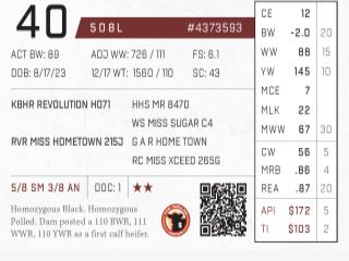 Lot 40: River Creek Farms - 35th Annual "Built to Work" SimAngus Bull Sale | DVAuction