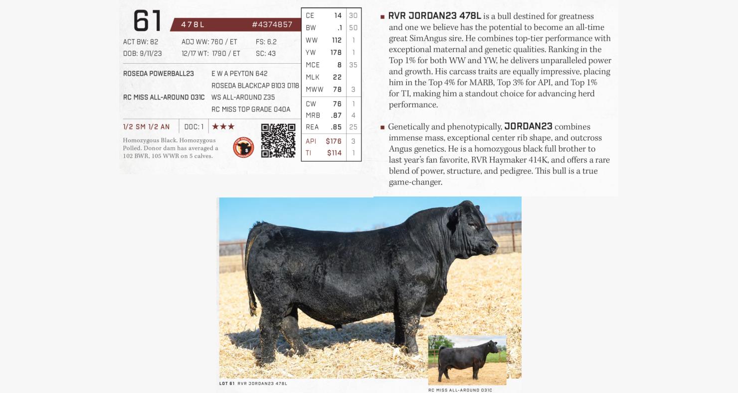 Lot 61: River Creek Farms - 35th Annual "Built to Work" SimAngus Bull Sale | DVAuction