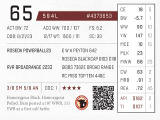 Lot 65: River Creek Farms - 35th Annual "Built to Work" SimAngus Bull Sale | DVAuction