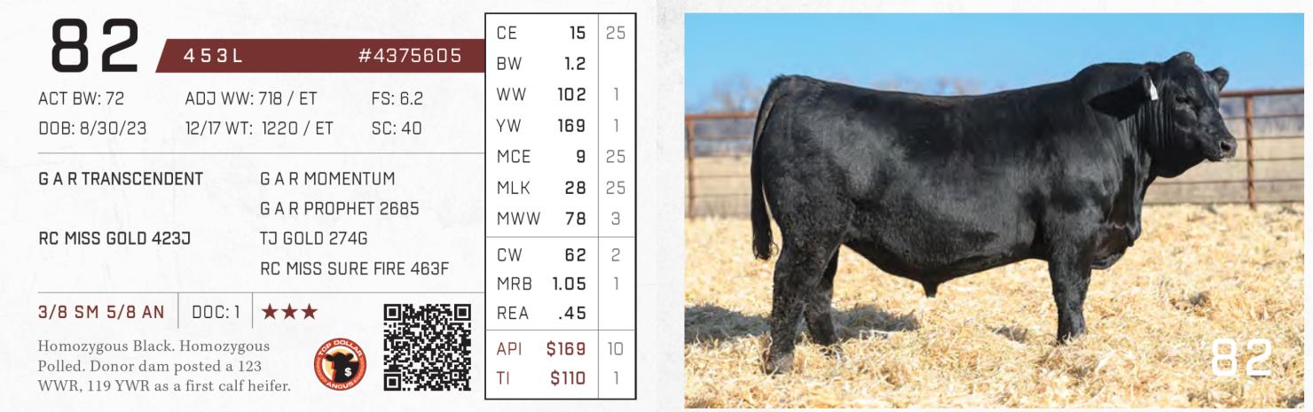 Lot 82: River Creek Farms - 35th Annual "Built to Work" SimAngus Bull Sale | DVAuction