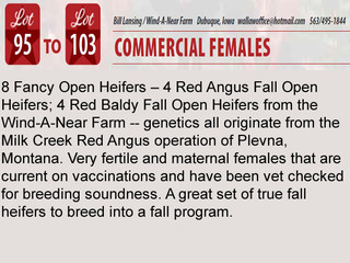 Lot 99: Star G Ranch & Friends Red Angus Auction | DVAuction