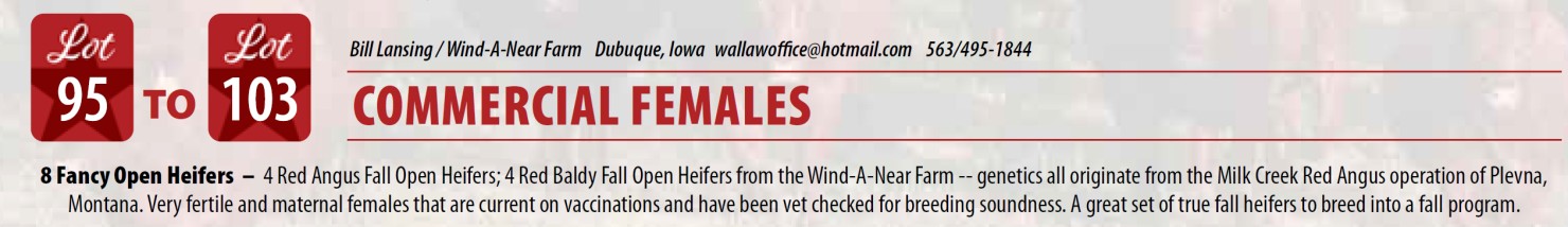 Lot 99: Star G Ranch & Friends Red Angus Auction | DVAuction