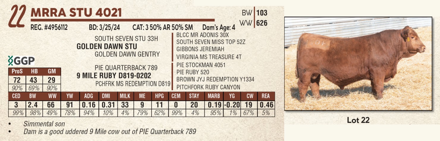 Lot 22: Missouri River Red Angus - Annual Production Sale | DVAuction