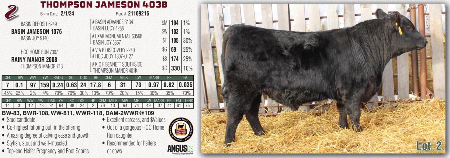 Lot 2: Thompson Angus Farms - Focus on the Future 8th Annual Sale ...