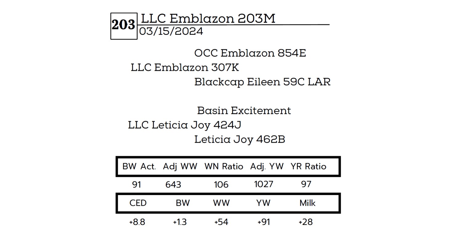 Lot 203 - LLC Emblazon 307 201M: Littau Land and Cattle - Bull Sale ...