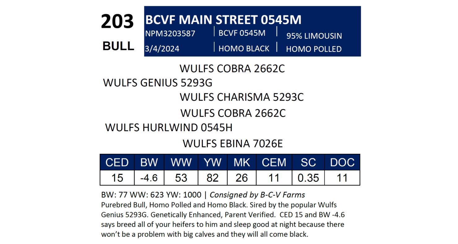 Lot 203: WV Beef Expo - 32nd Annual WV Beef Expo | DVAuction