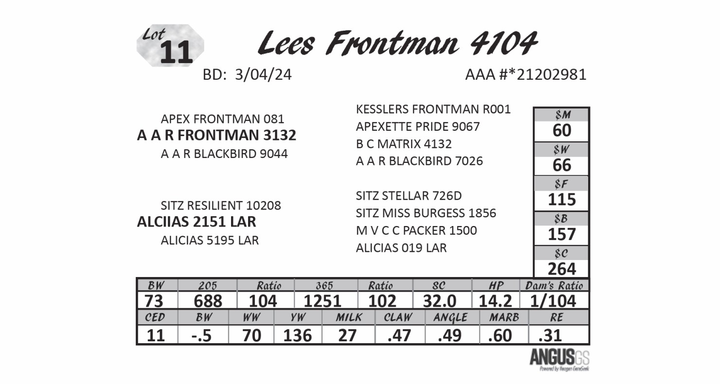 Lot 11: Lee Angus Ranch - Annual Production Sale | DVAuction