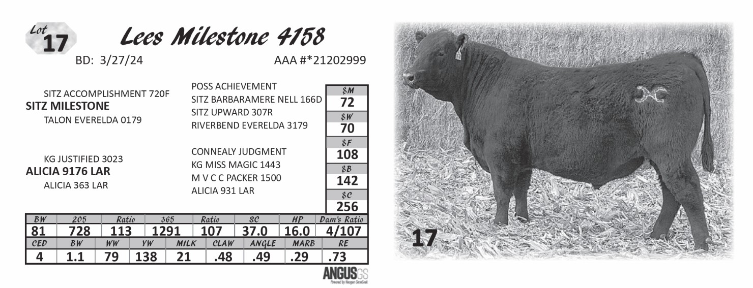 Lot 17: Lee Angus Ranch - Annual Production Sale | DVAuction