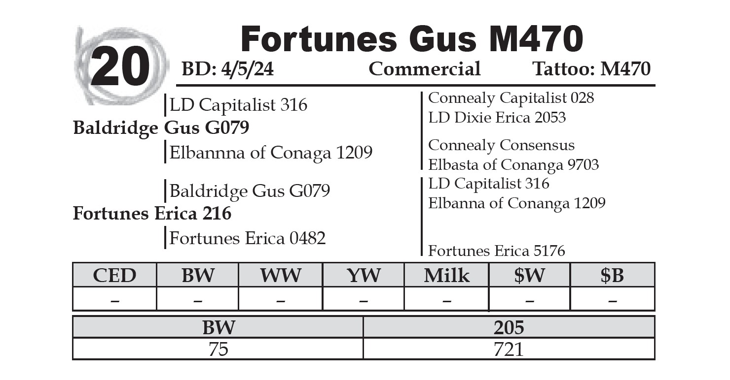 Lot 20: Fortune's Rafter U Cross - 25th Annual Angus Bull Sale | DVAuction
