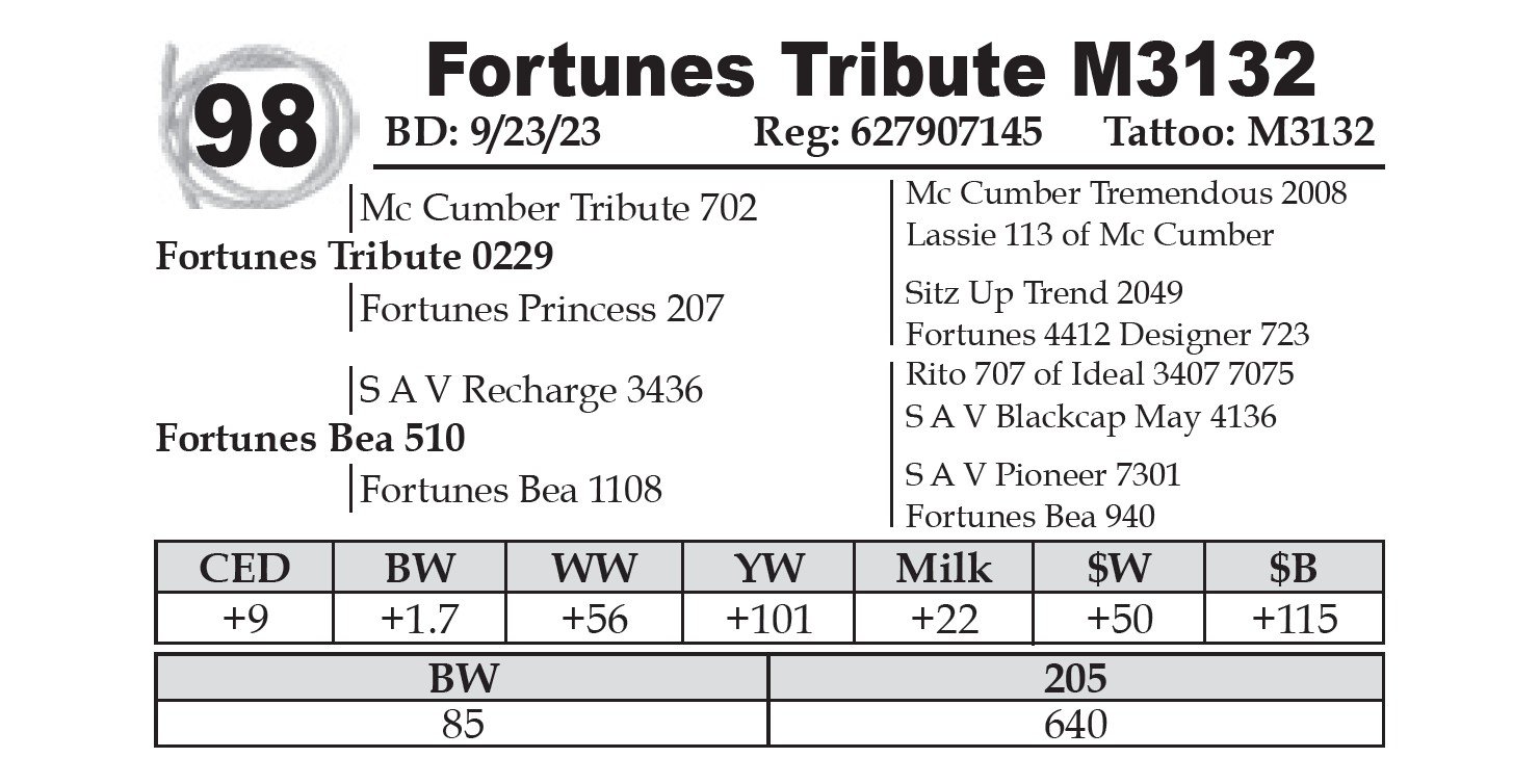 Lot 98: Fortune's Rafter U Cross - 25th Annual Angus Bull Sale | DVAuction