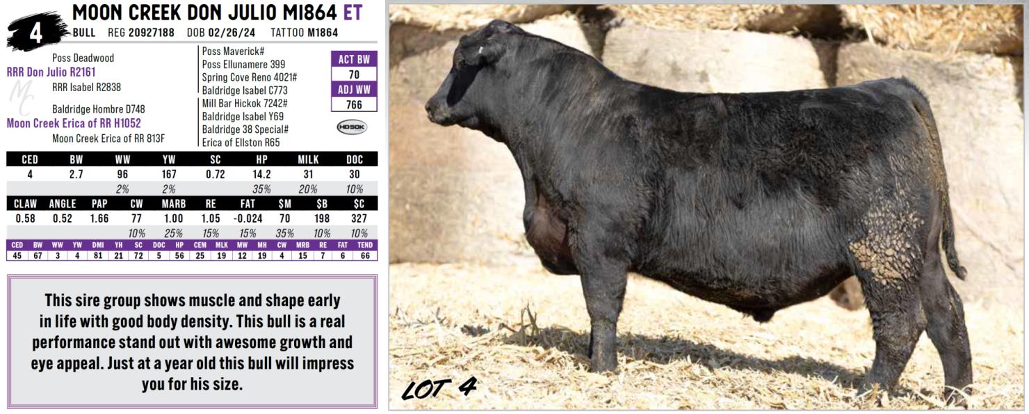 Lot 4: Moon Creek Farms - Special Angus Bull Sale | DVAuction