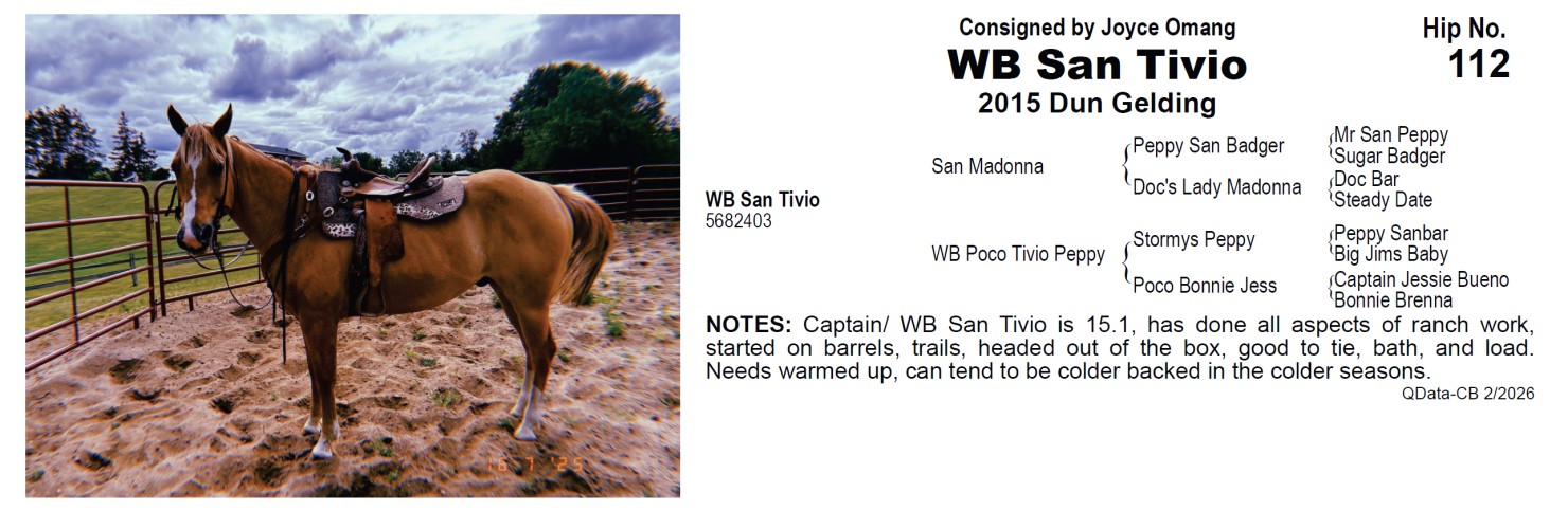 Lot 112: R&J Horse Sale - R&J Winter All Breds Horse Sale | DVAuction