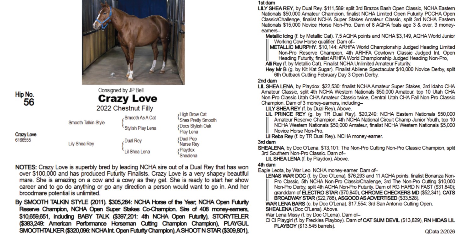 Lot 56: R&J Horse Sale - R&J Winter All Breds Horse Sale | DVAuction