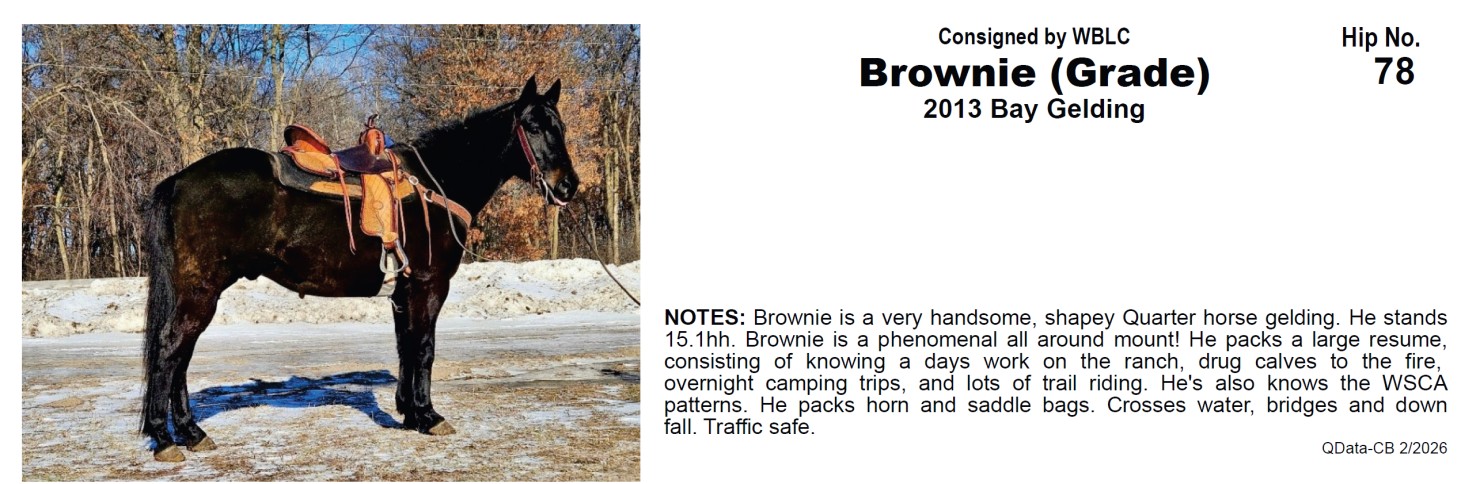 Lot 78: R&J Horse Sale - R&J Winter All Breds Horse Sale | DVAuction