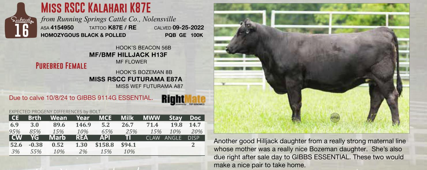 Lot 16: Tennessee Seedstock Alliance - Seedstock Connection Sale ...