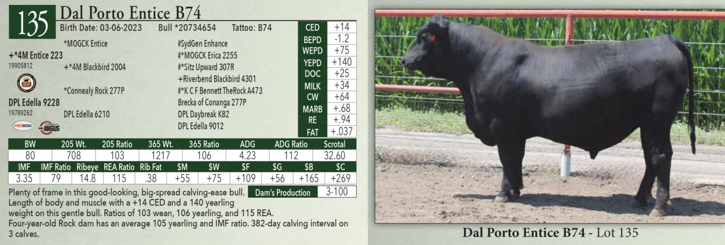 Lot 135: Dal Porto Livestock & Rancho Casino - 33rd Annual Sale | DVAuction