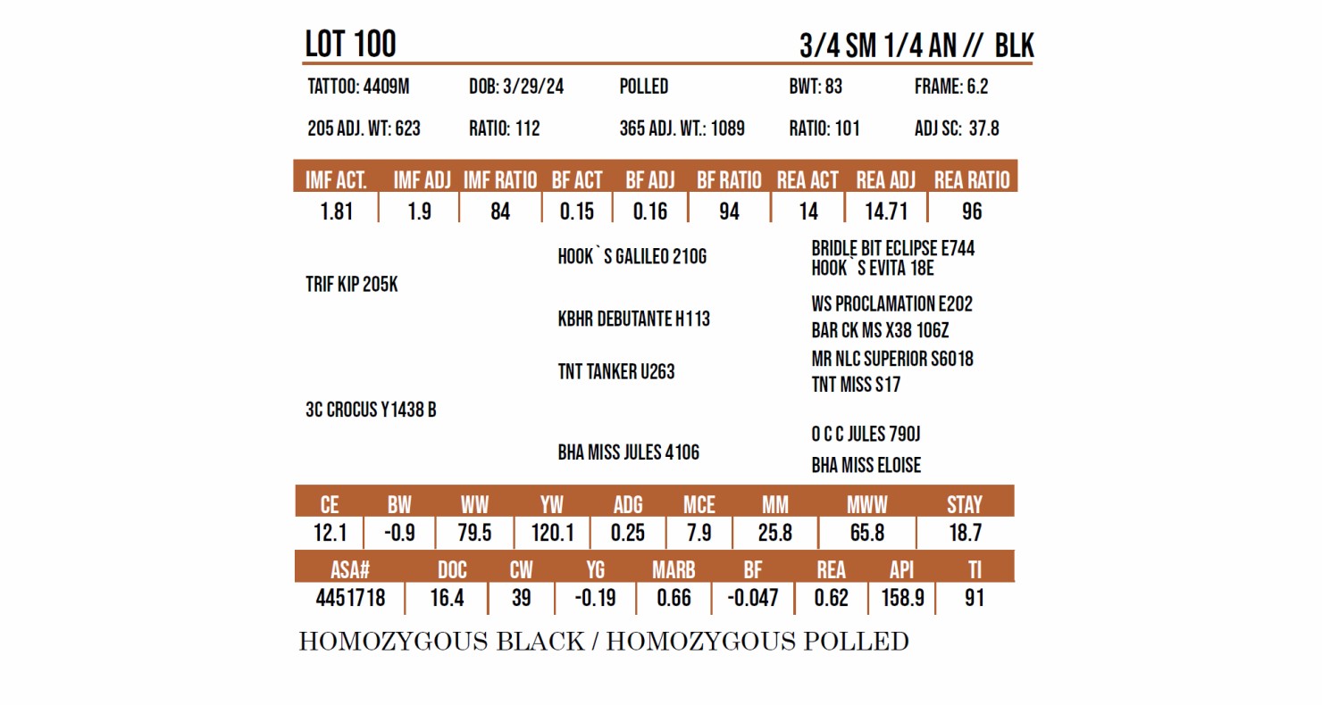 Lot 100: 3C Christensen Ranch & NLC Ranch - 54th Annual Sale | DVAuction