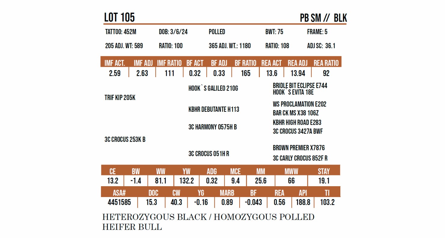 Lot 105: 3C Christensen Ranch & NLC Ranch - 54th Annual Sale | DVAuction