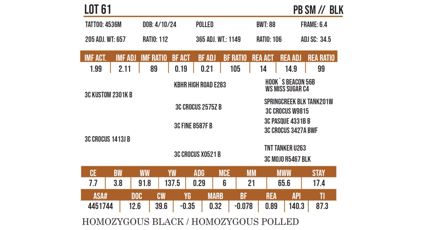 Lot 61: 3C Christensen Ranch & NLC Ranch - 54th Annual Sale | DVAuction