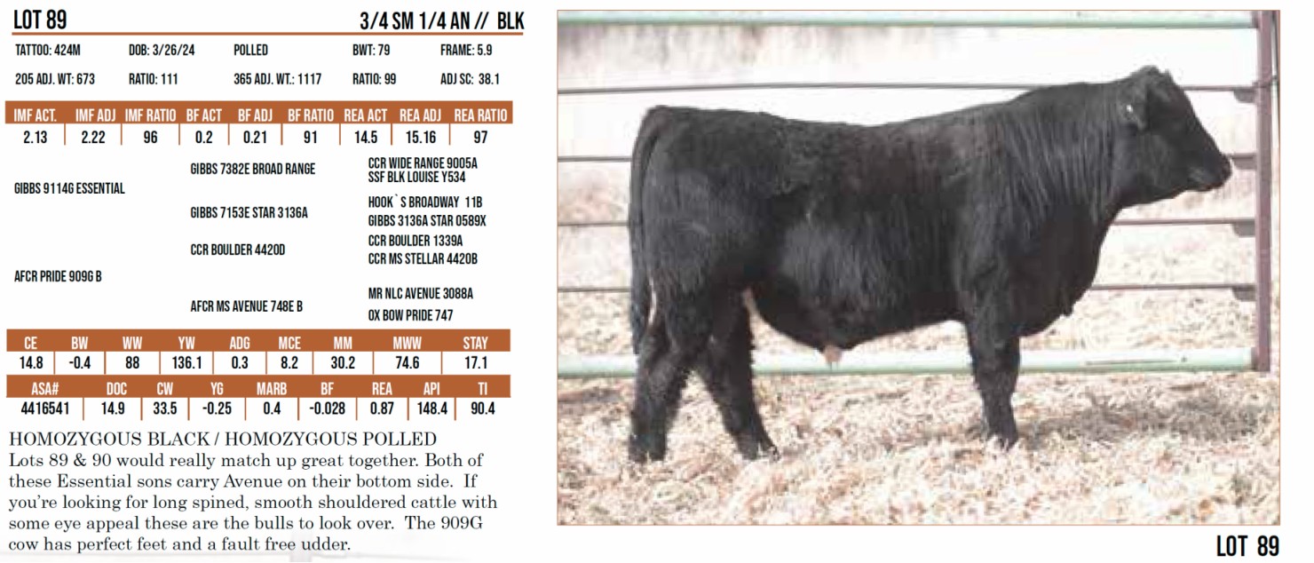 Lot 89: 3C Christensen Ranch & NLC Ranch - 54th Annual Sale | DVAuction