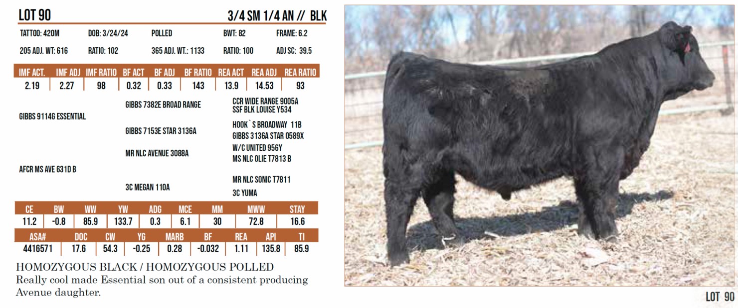 Lot 90: 3C Christensen Ranch & NLC Ranch - 54th Annual Sale | DVAuction