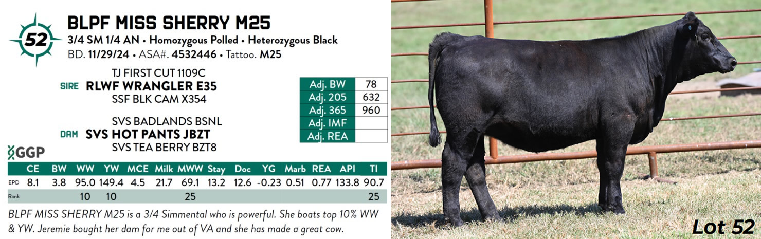 Lot 52: Southern Superior Sale | DVAuction