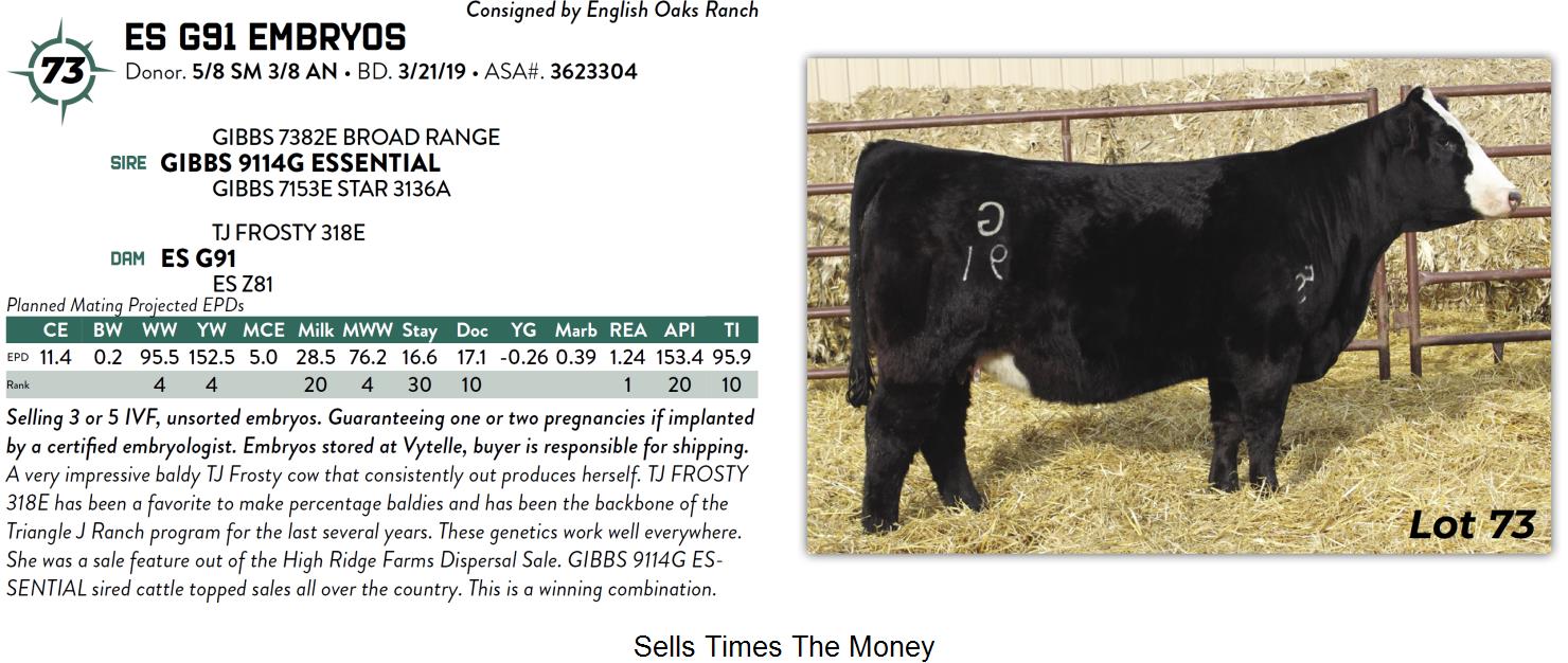Lot 73: Southern Superior Sale | DVAuction