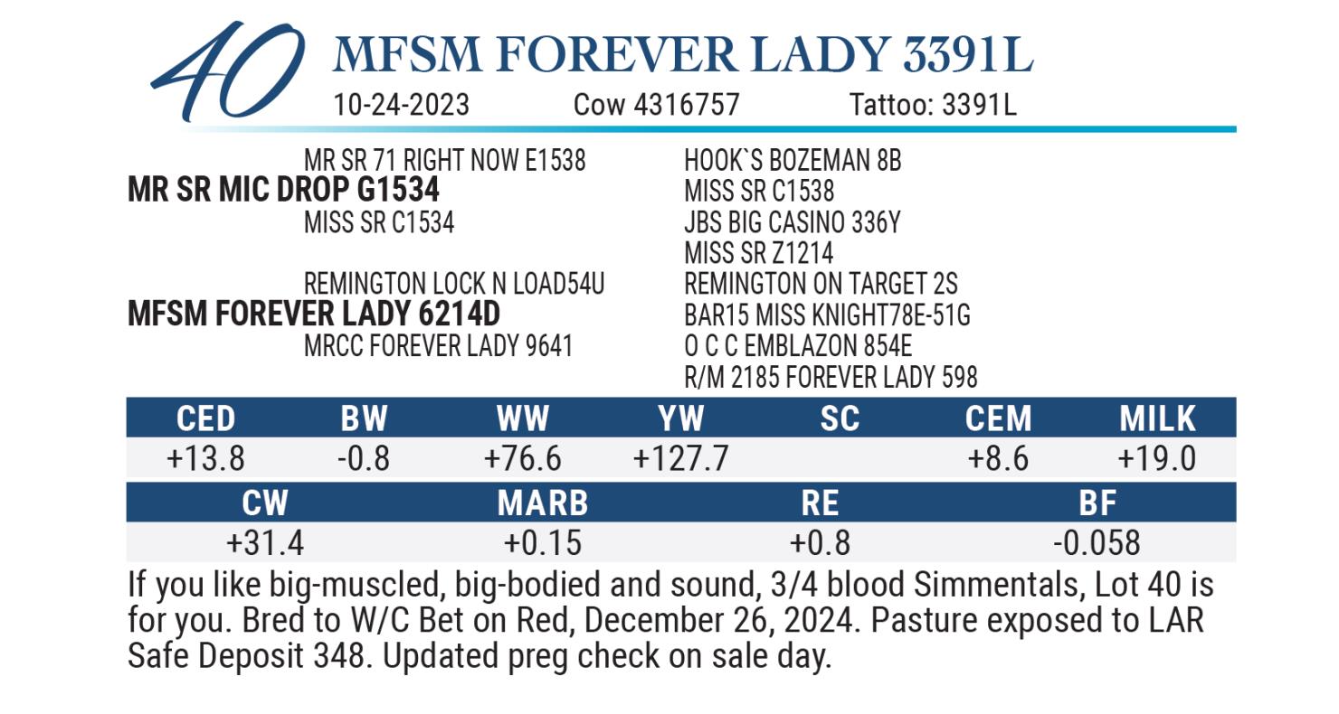 Lot 40: Wheeler Angus Bull Sale | DVAuction